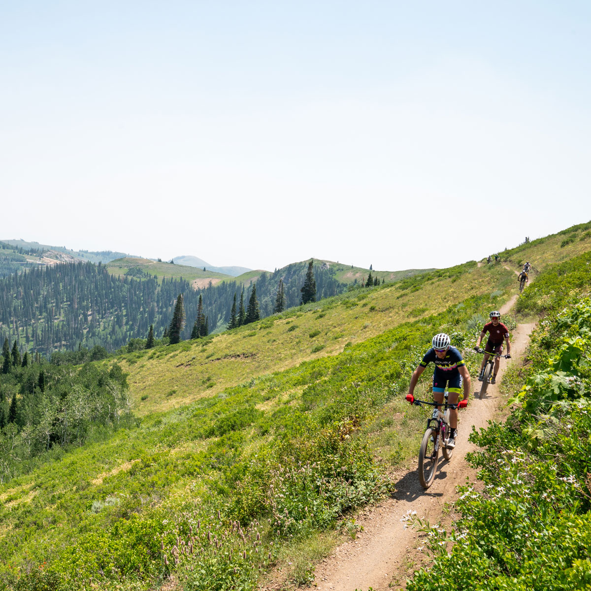 Summer Trails Overview - Mountain Trails Foundation